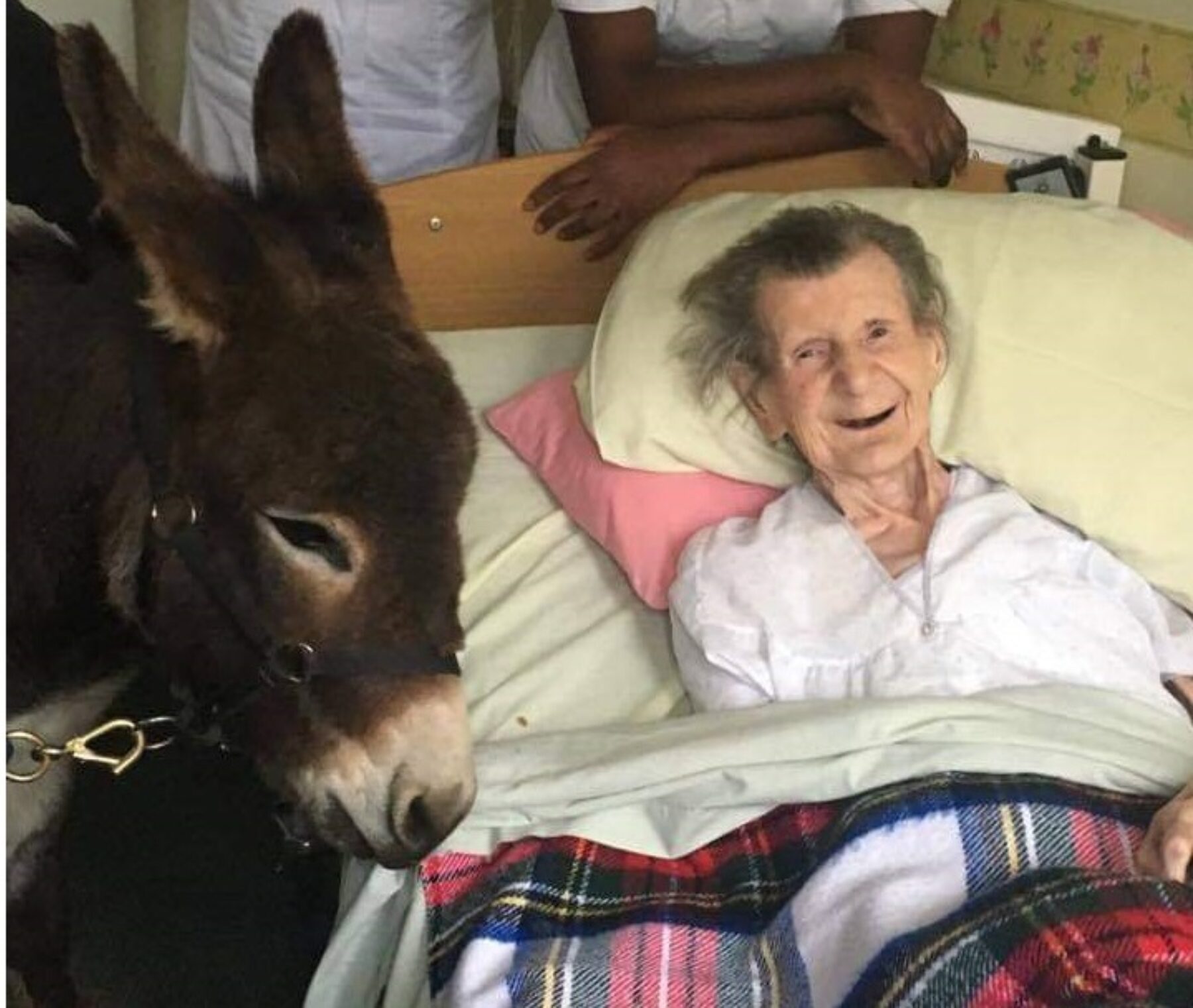 Thanking God for Leonora Home | Pilgrims’ Friend Society